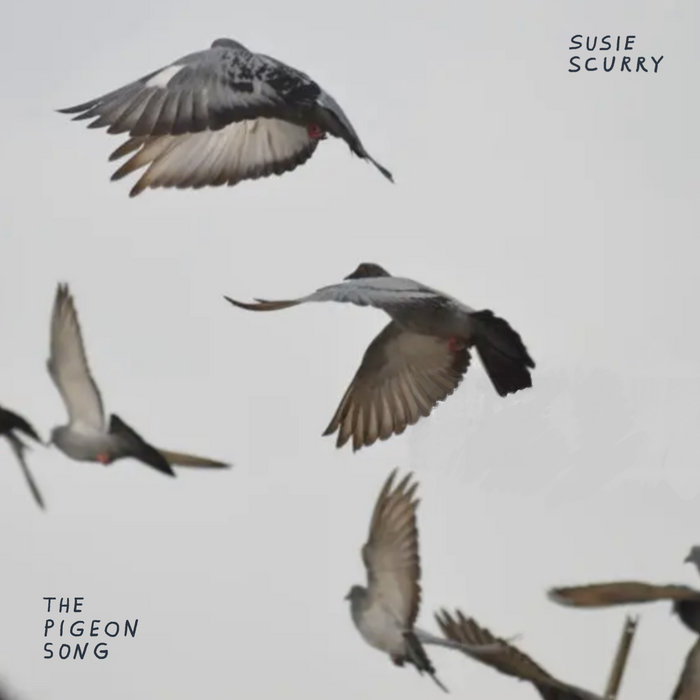 The Pigeon Song | the grand magoozi