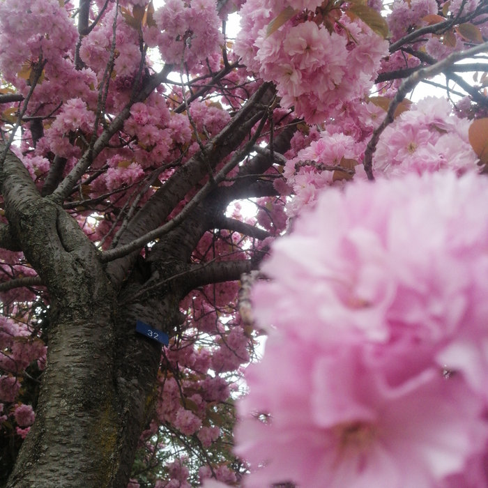 draft | SILENCE FICTION Records