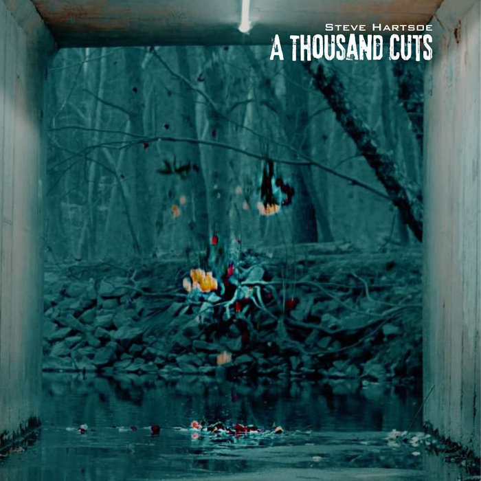 A Thousand Cuts (Single) | Steve Hartsoe