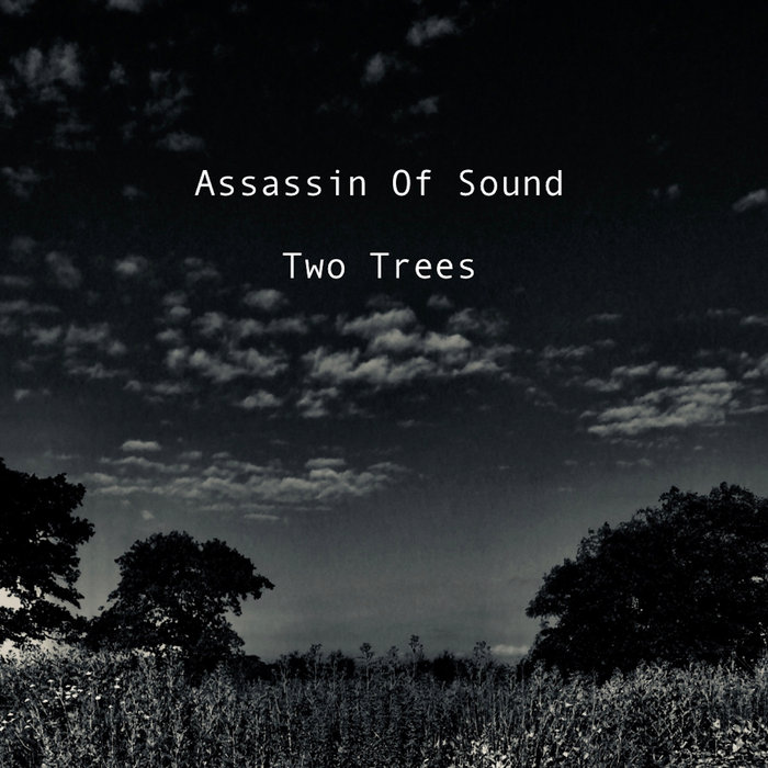 Two Trees | Alex H Duncan