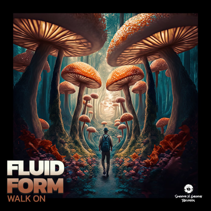 Fluid Form - Walk On | Fluid Form | Smooth N Groove Records