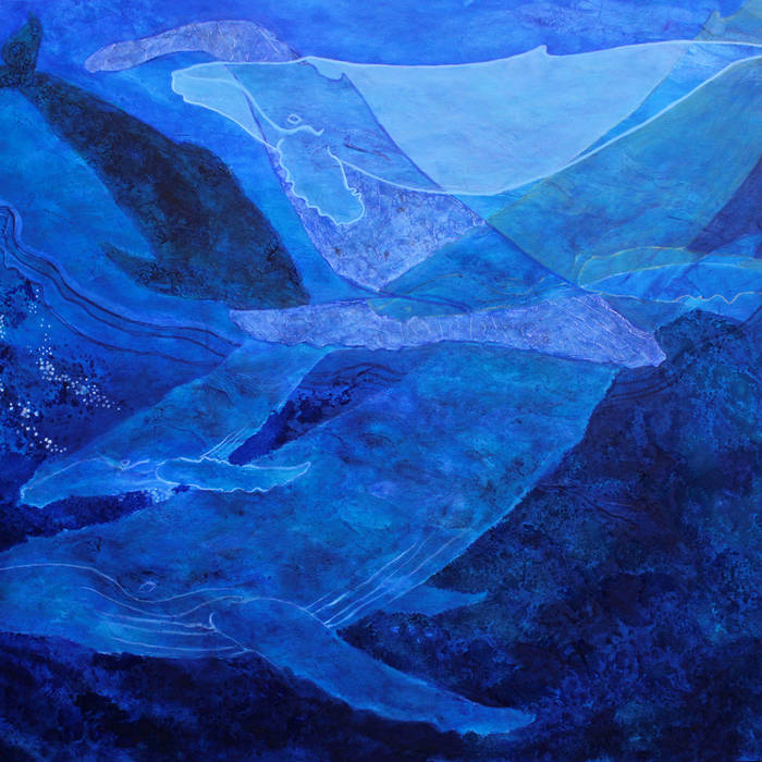 Speak Whale | Daniel Janke