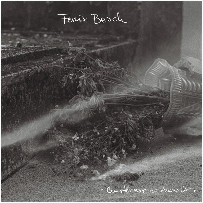 Consternar es avasallar | Feria Beach | • FERIA BEACH