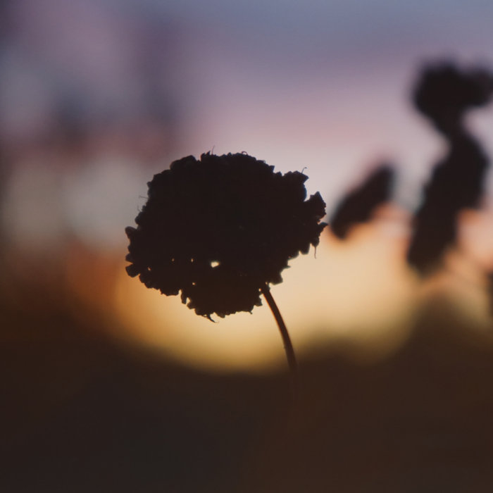 Stillpoint (marine eyes 'At Sunset' Rework) | Purl