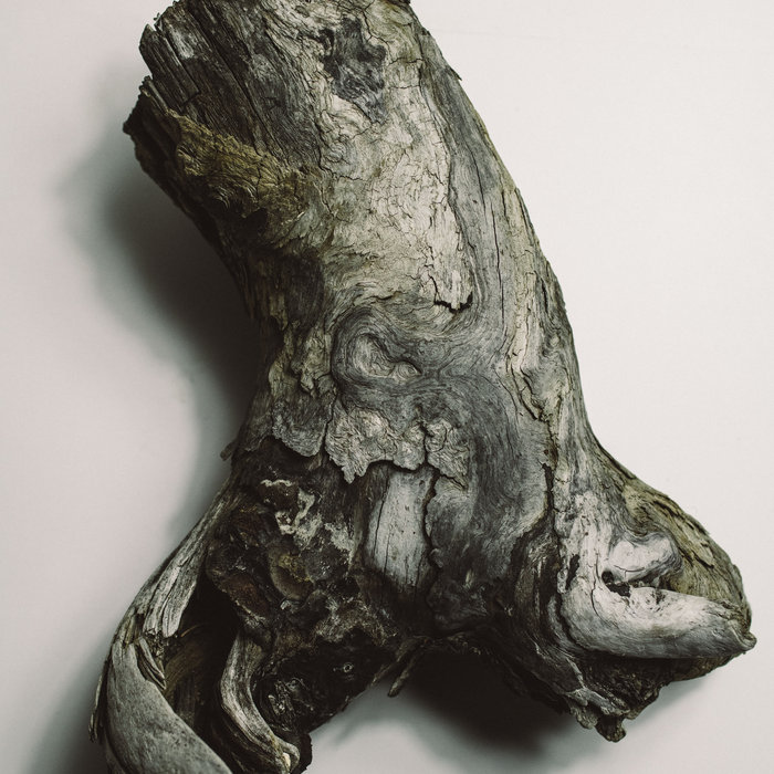 L'Animal Acclimaté | Jean-Baptiste Geoffroy & Leo Suarez | Dinzu Artefacts