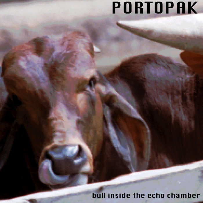 Bull Inside the Echo Chamber (single) | Portopak