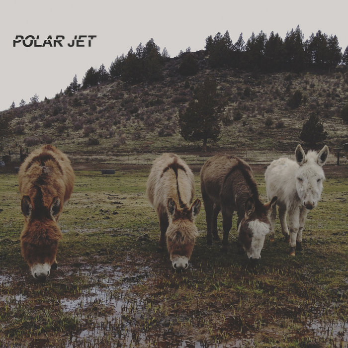 PolarJet | Polar Jet