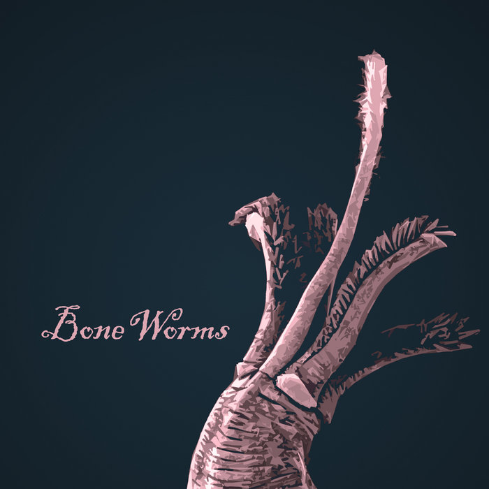 Bone Worms (Osedax mucofloris) | sonic messiah