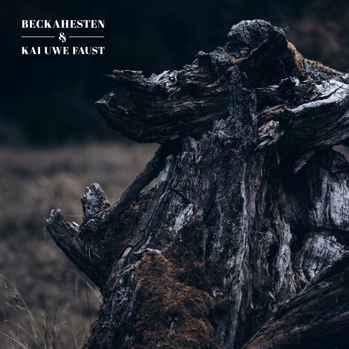 Fußreise | BECKAHESTEN & KAI UWE FAUST | Cyclic Law