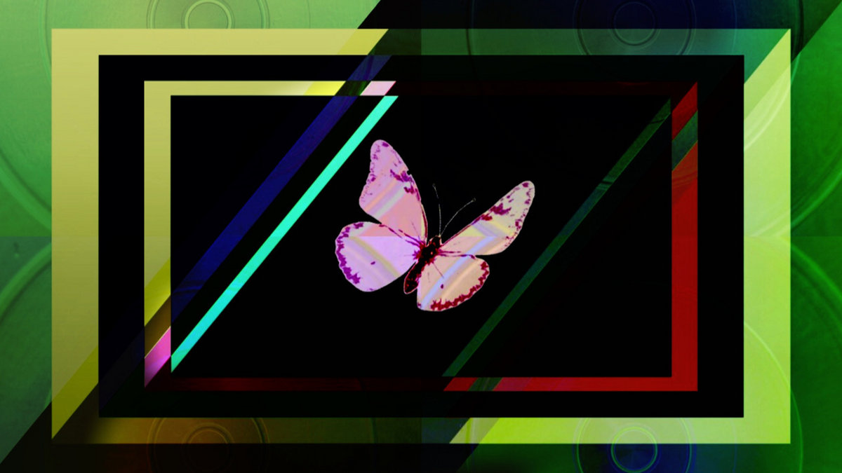 Light Sound | Unlisted Rose