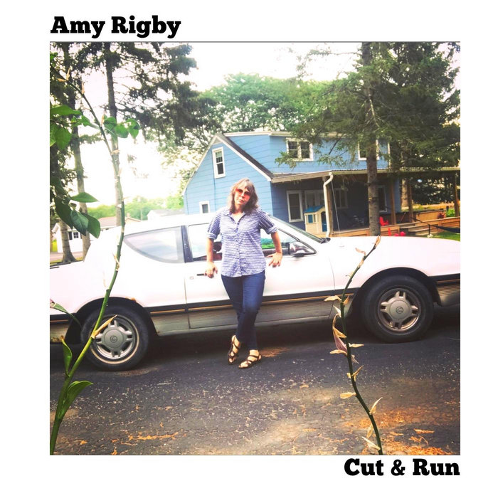 Cut & Run | Amy Rigby