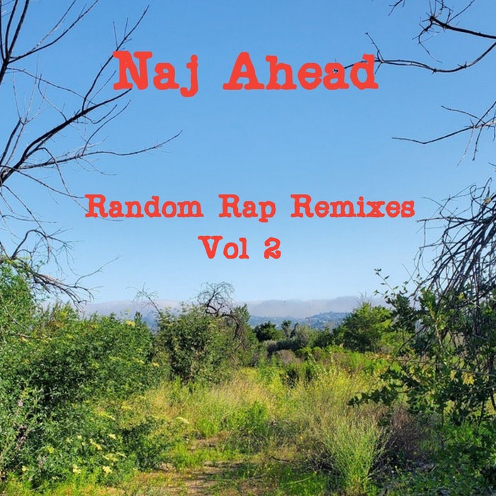 Random Rap Remixes Vol 2 | Naj Ahead