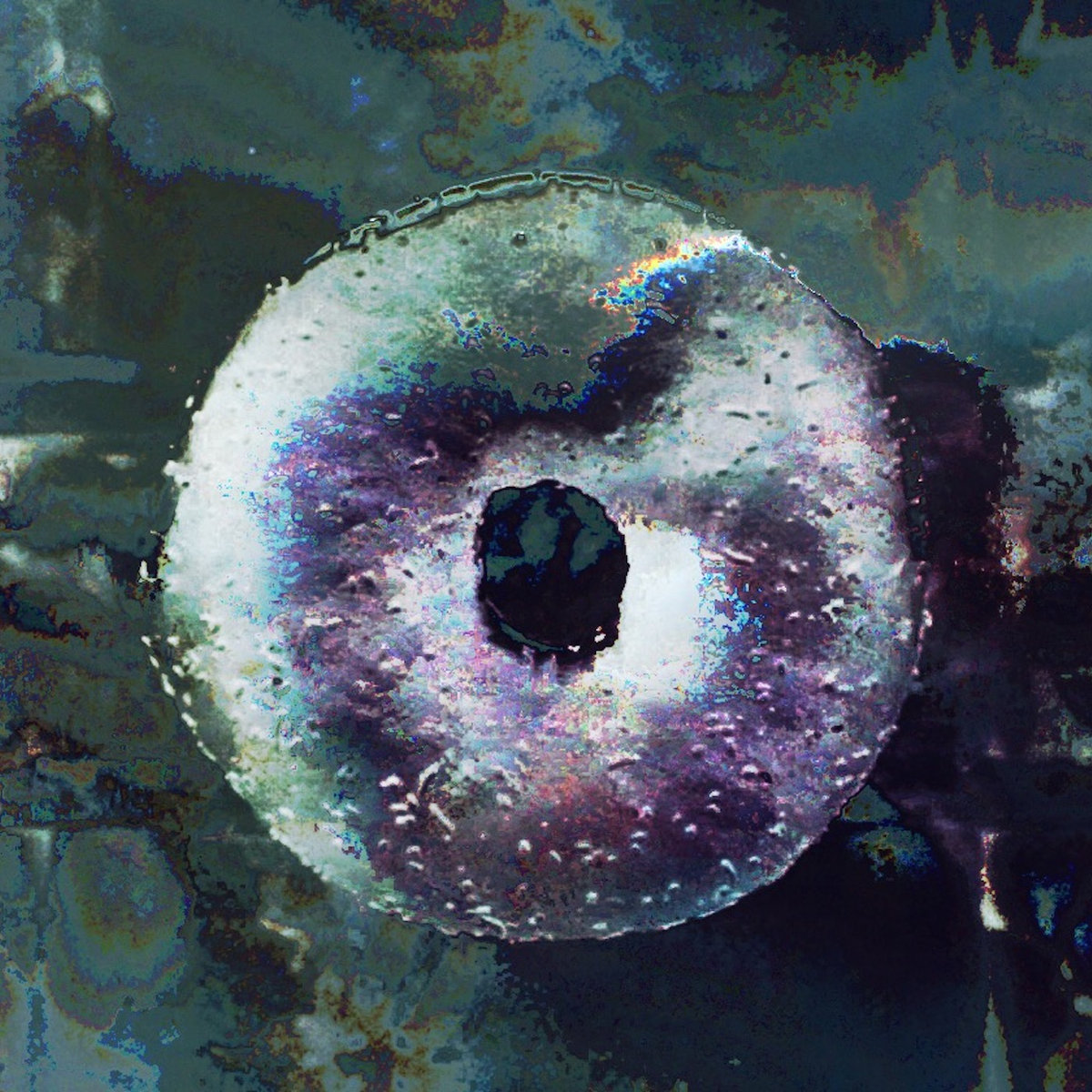 Module Demos | Toral Snare