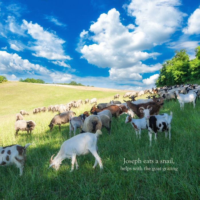 helps with the goat grazing | Joseph eats a snail