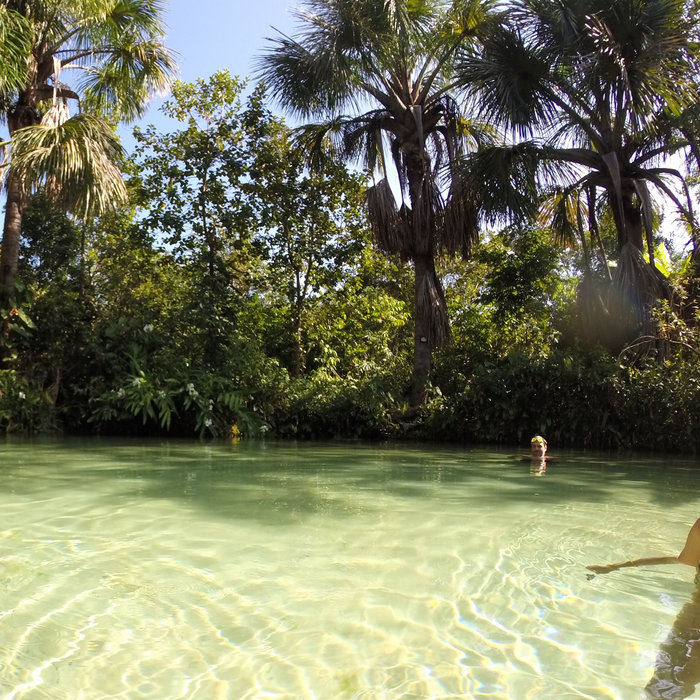 A Very Watery Record | Pandit Pam Pam