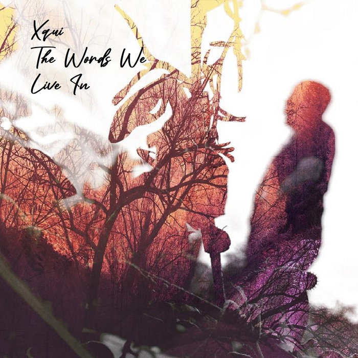 The Words We Live in | Xqui