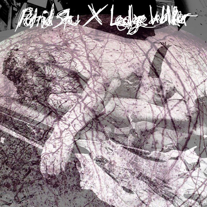 Split with Ledge Walker | Putrid Stu