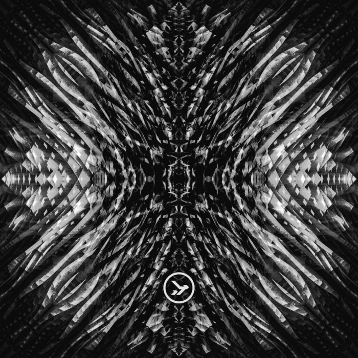 Obsidian Shard | Tarek