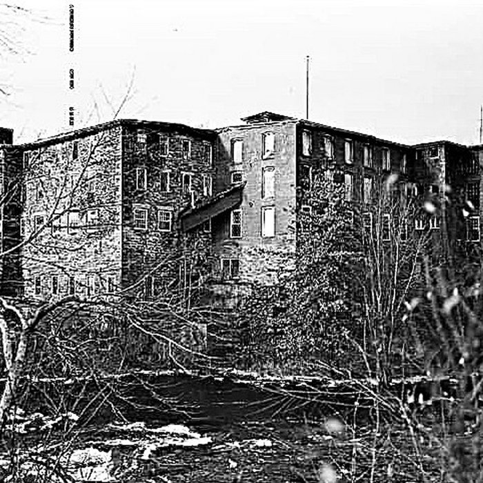 PORTON DOWN | LIKE WEEDS