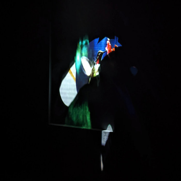 The Field | Guy Fleisher