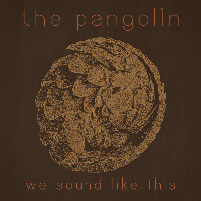 We Sound Like This | The Pangolin