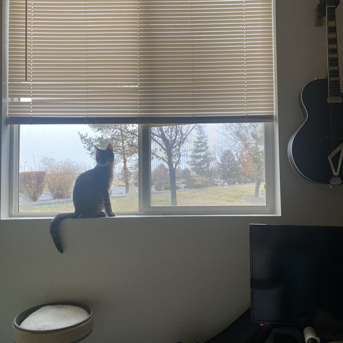 in a city i wish i knew, in a bedroom on my own | jesse rosenberg