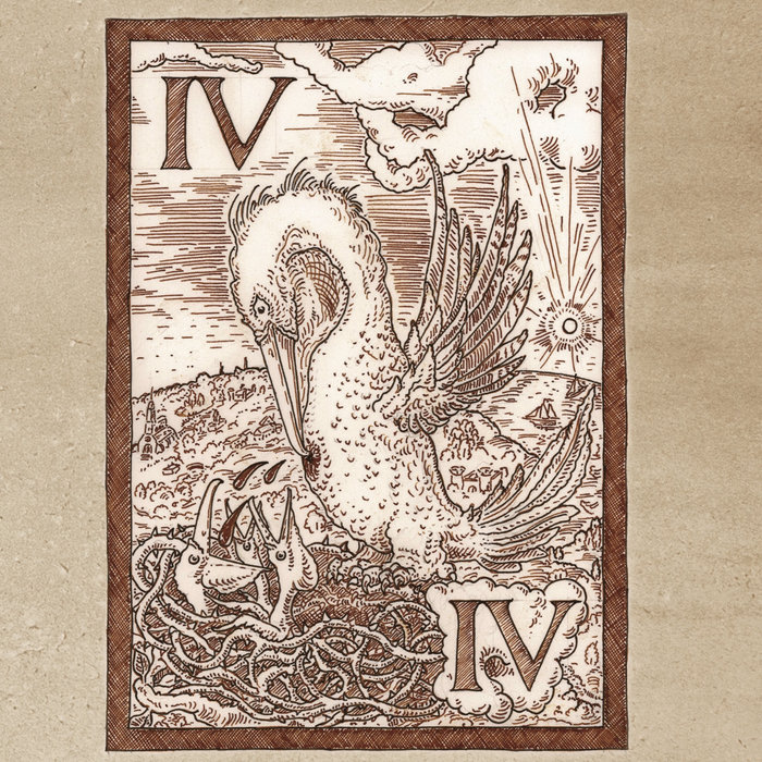 Birds | Duane Edwards