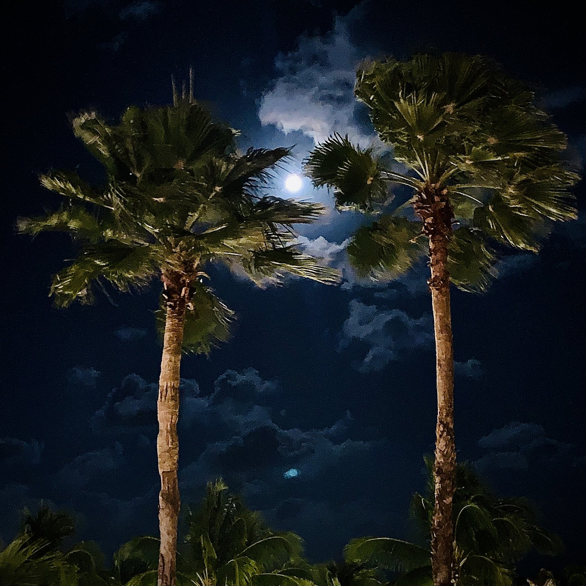 Nothing More | Robert Doherty