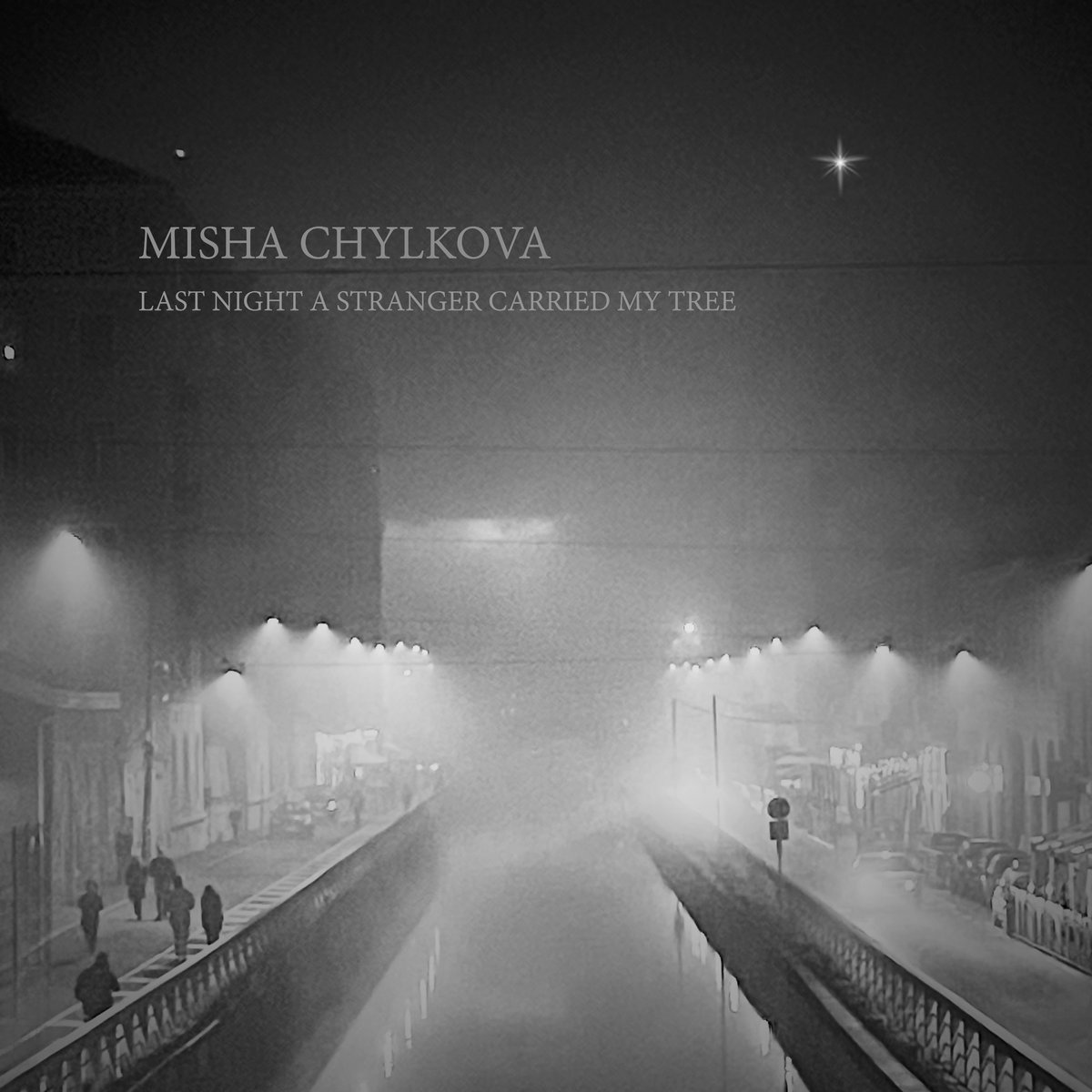 Last Night a Stranger Carried My Tree | Misha Chylkova