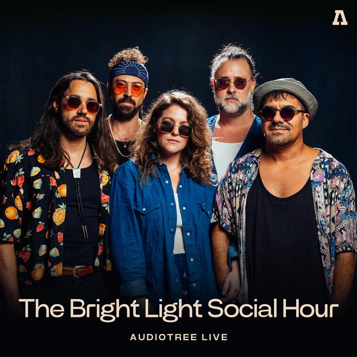 The Bright Light Social Hour on Audiotree Live | The Bright Light ...