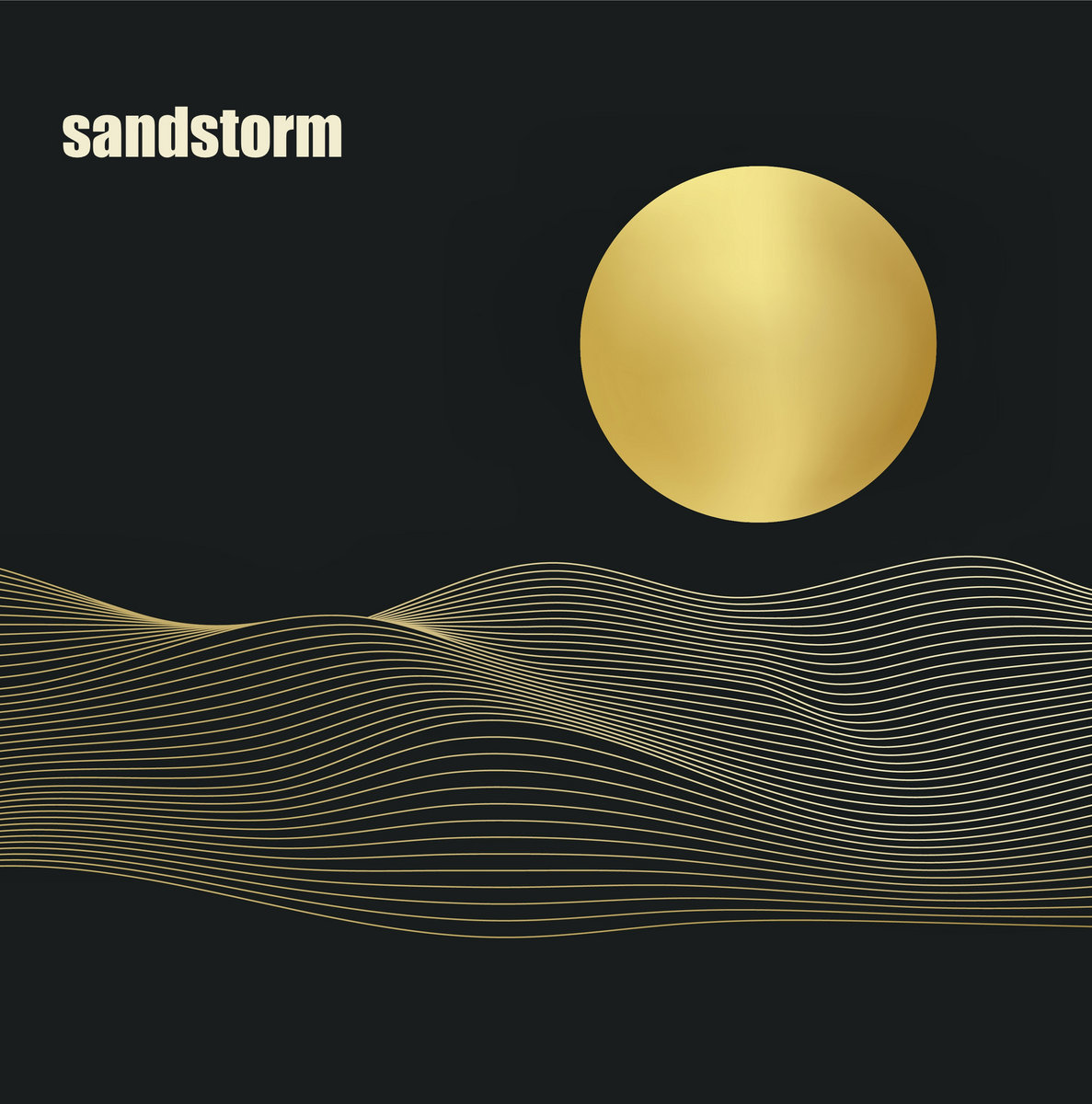 saguaro shadow | James Foran