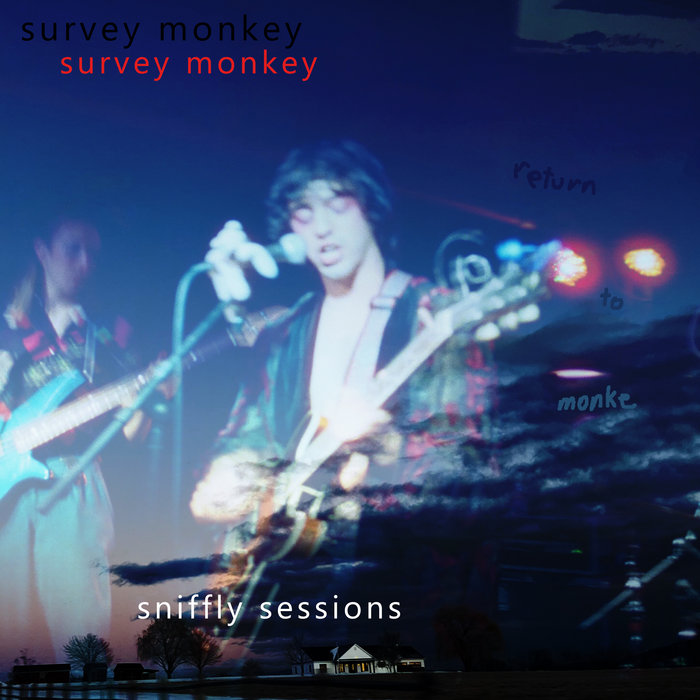 Sniffly Sessions | Survey Monkey