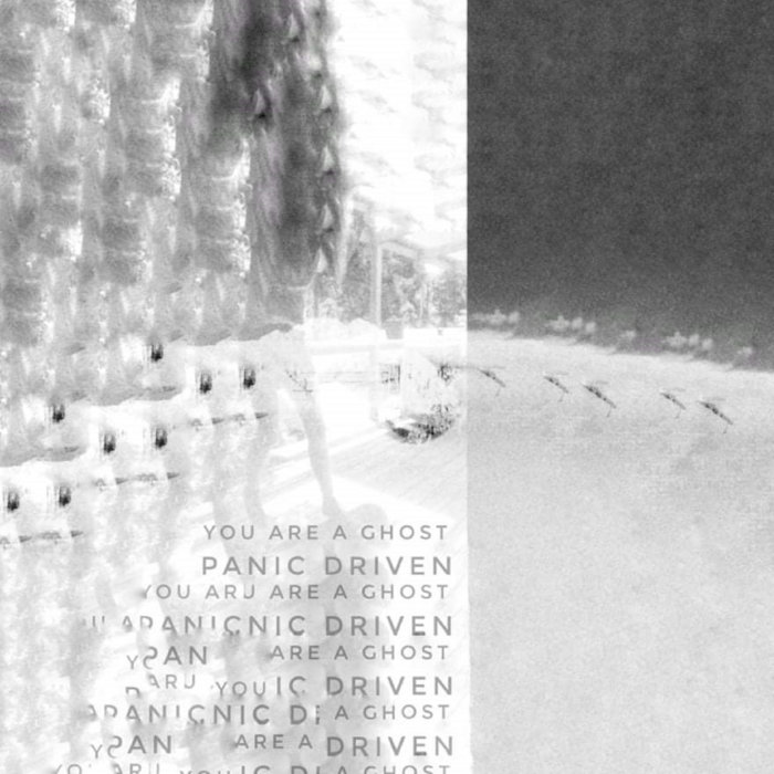 Panic Driven | You Are A Ghost