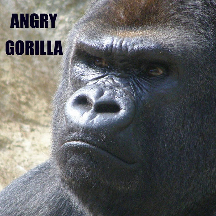 Silverback Gorilla Angry