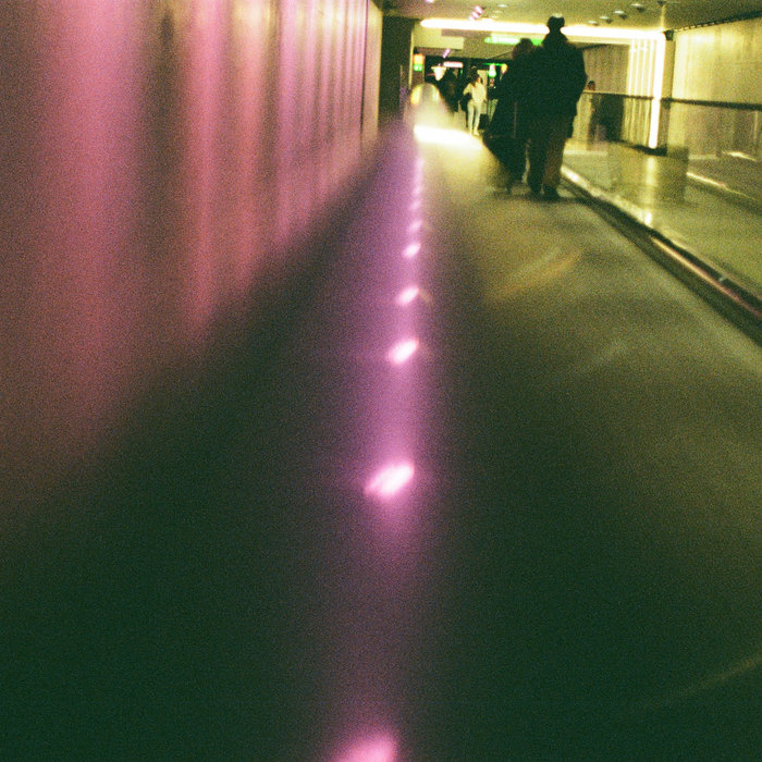 Temperate | ZOIR | Zoir