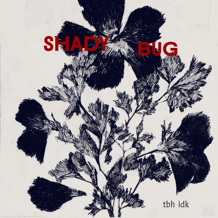 tbh idk | Shady Bug
