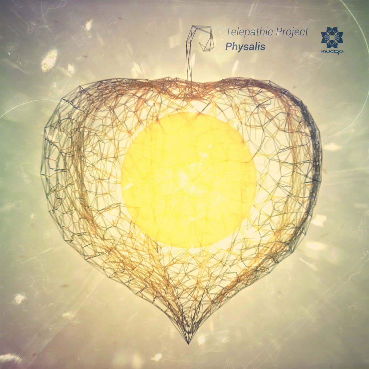 Physalis | Telepathic project | Mudra Music