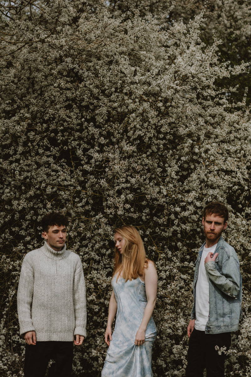 Pink Blossom | Yellow County