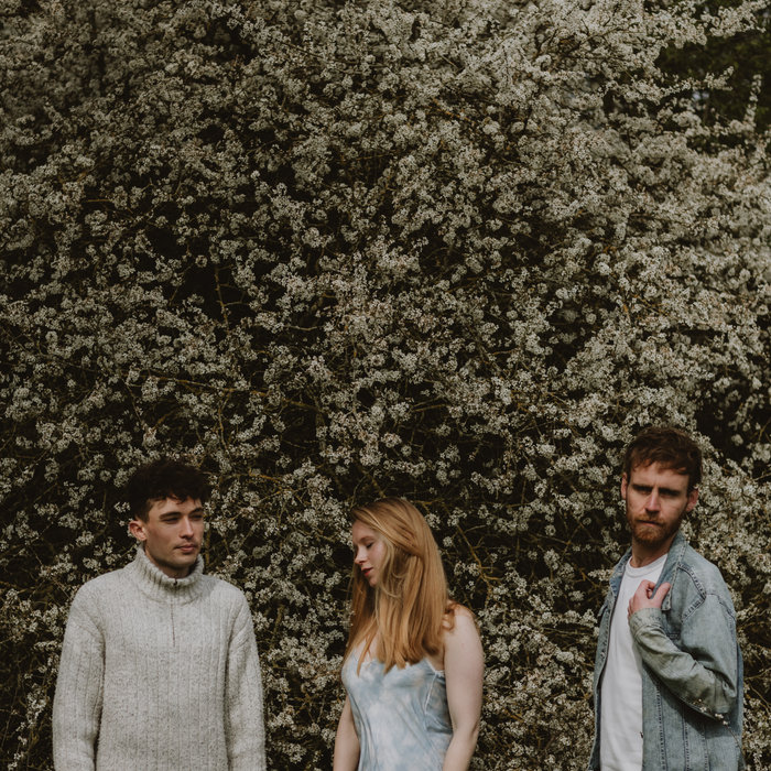 Pink Blossom | Yellow County