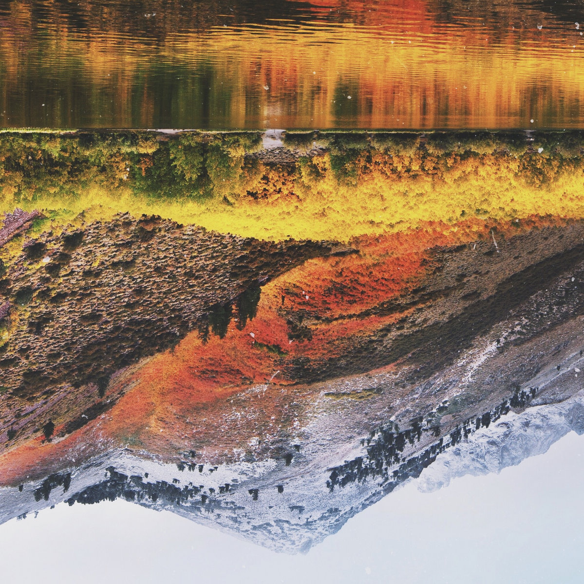 Sierra | Alex Parham