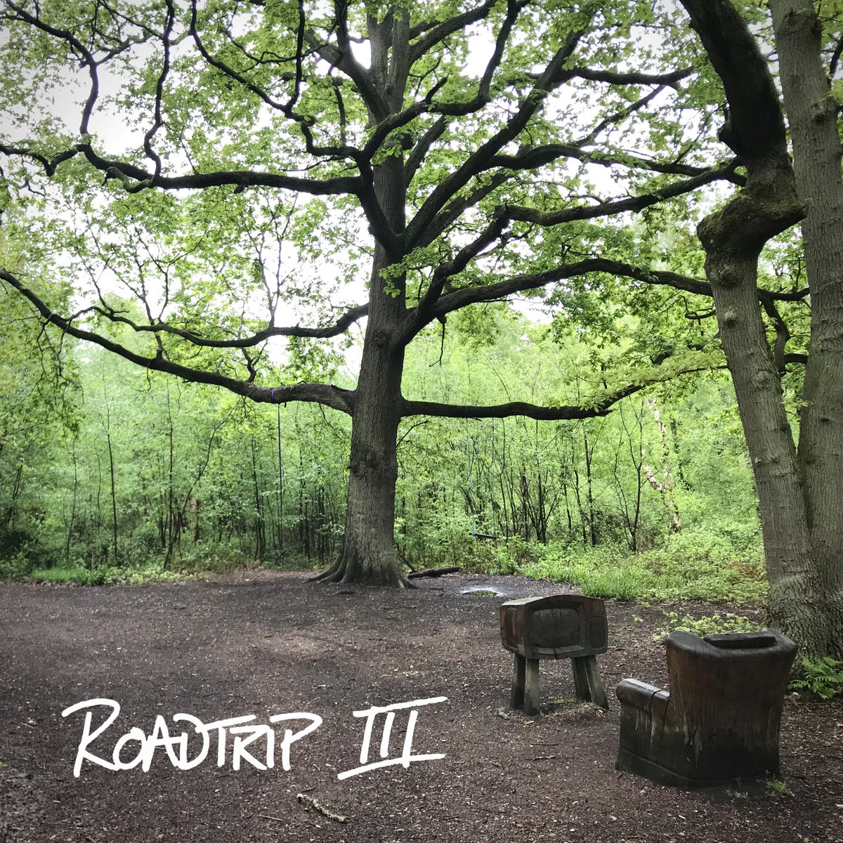 Roadtrip III | Steve Mahoney