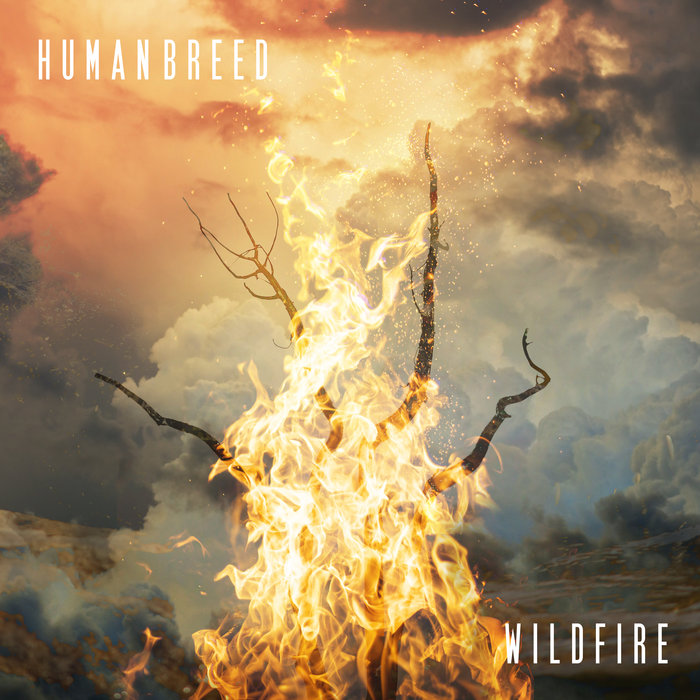 Wildfire | Human Breed