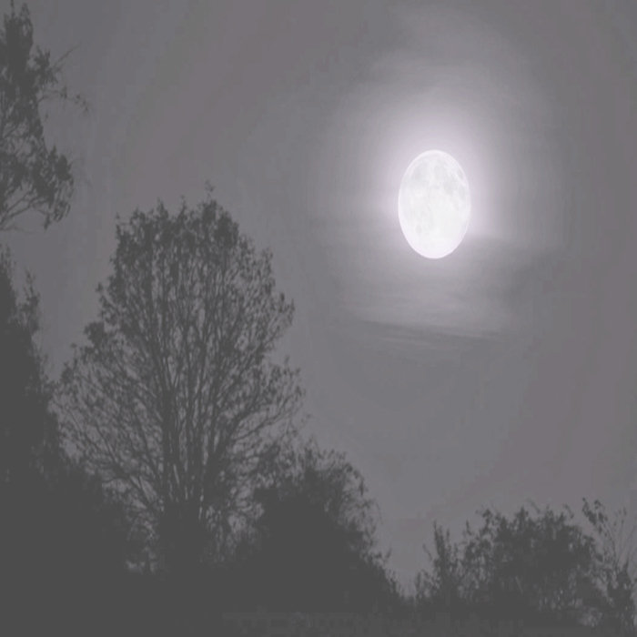 Liquid Moon | SOUNDICIAN