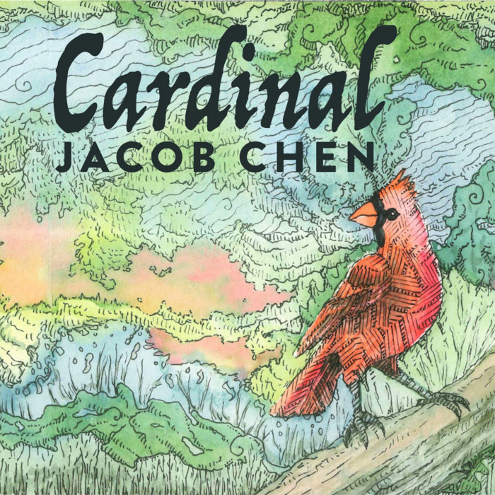Cardinal | Jacob Chen
