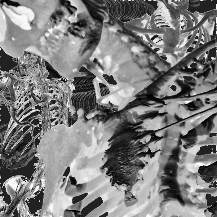 bonepit vol.1 | whiteteepoison