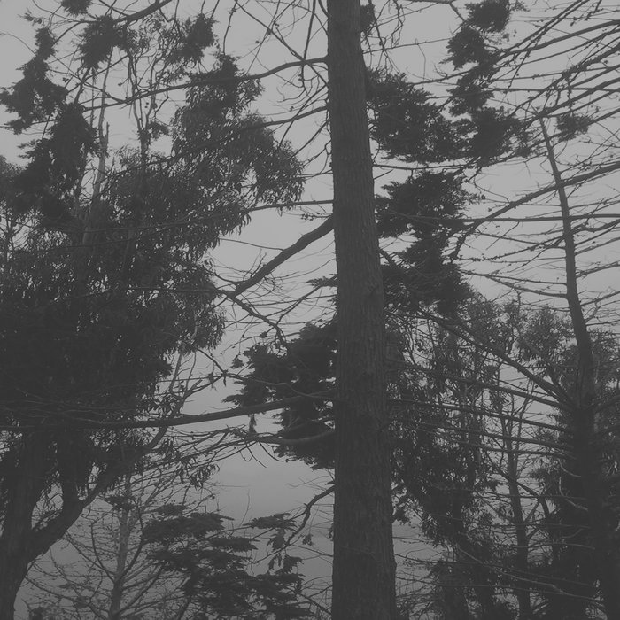 Flora | Flora | Solemnis Distro