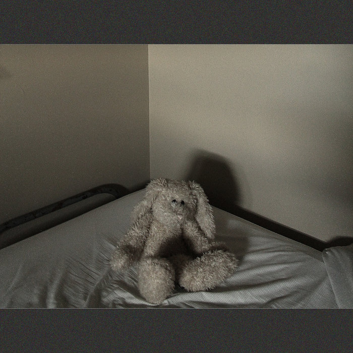 rabbit | danny the insect