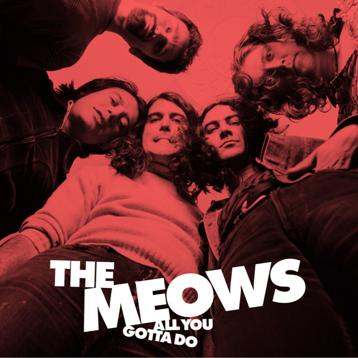FSR157 The Meows - All you gotta do (LP) | The Meows | Family Spree ...