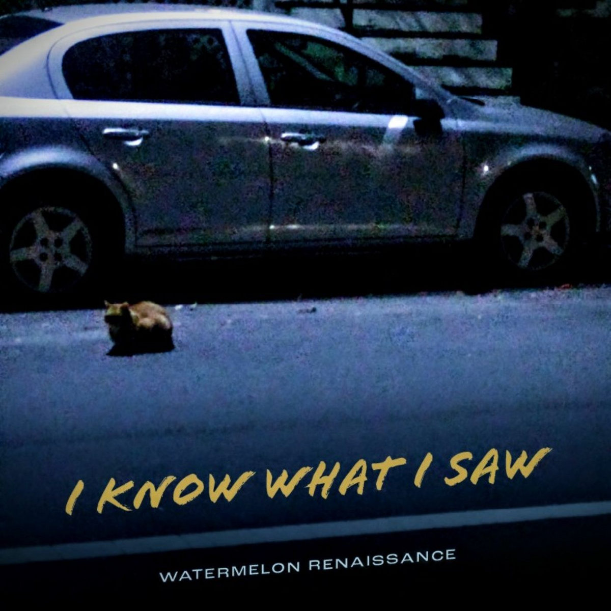 I Know What I Saw | Watermelon Renaissance