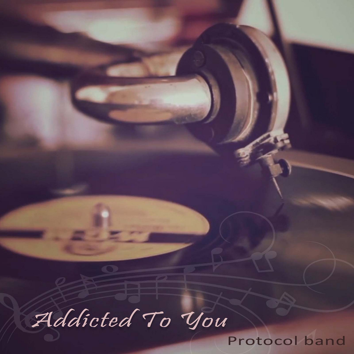 Addicted To You | Protocol Band